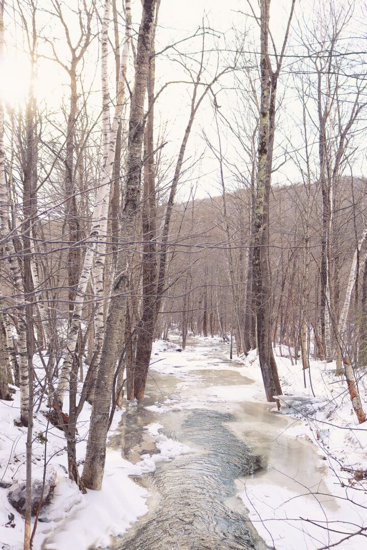 Darling Travels: Winter in Vermont - Darling Darleen | A Lifestyle ...