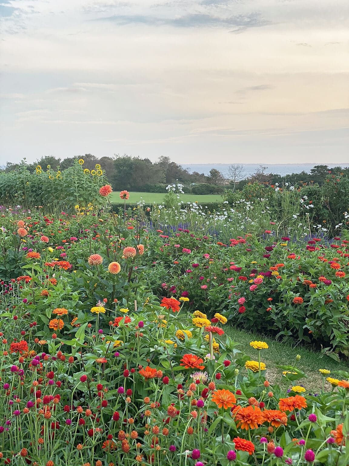 Connecticut Flower Fields - Darling Darleen | A Lifestyle Design Blog