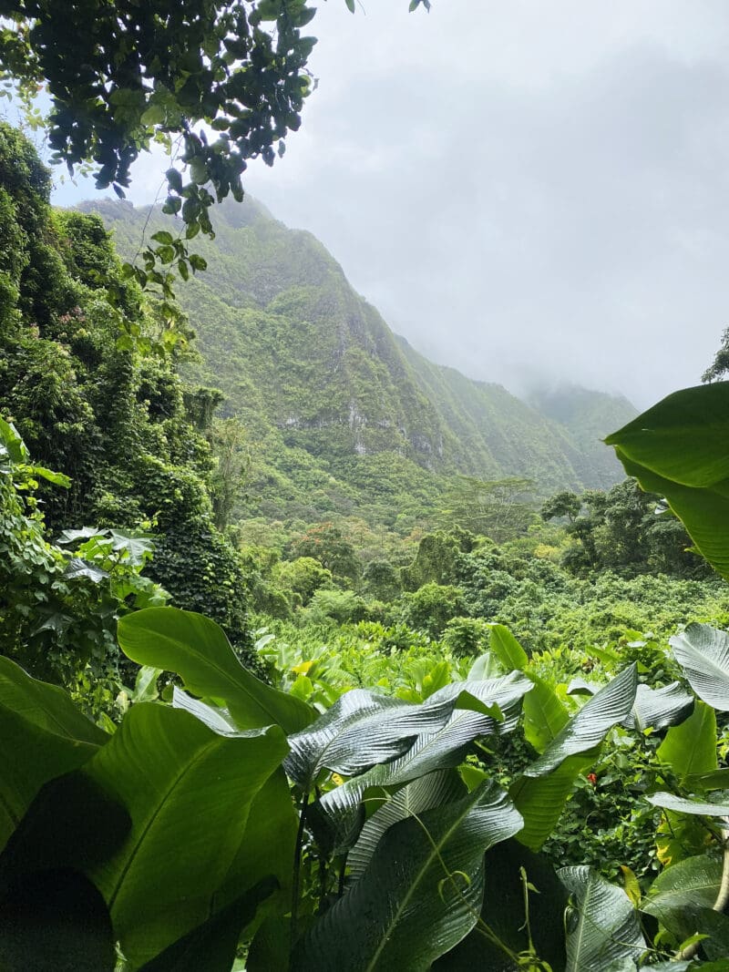 Travel to Oahu Hawaii - Darling Darleen | A Lifestyle Design Blog