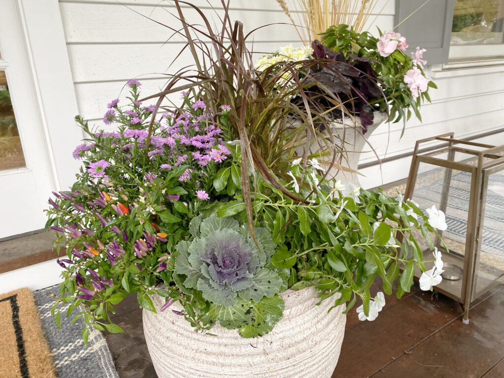 Transition Your Summer Planters to Fall - Darling Darleen | A Lifestyle ...